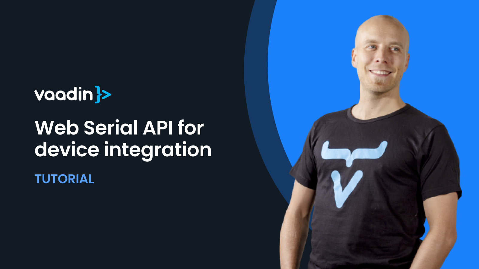 Reading electronic competition card data with Web Serial API | Vaadin